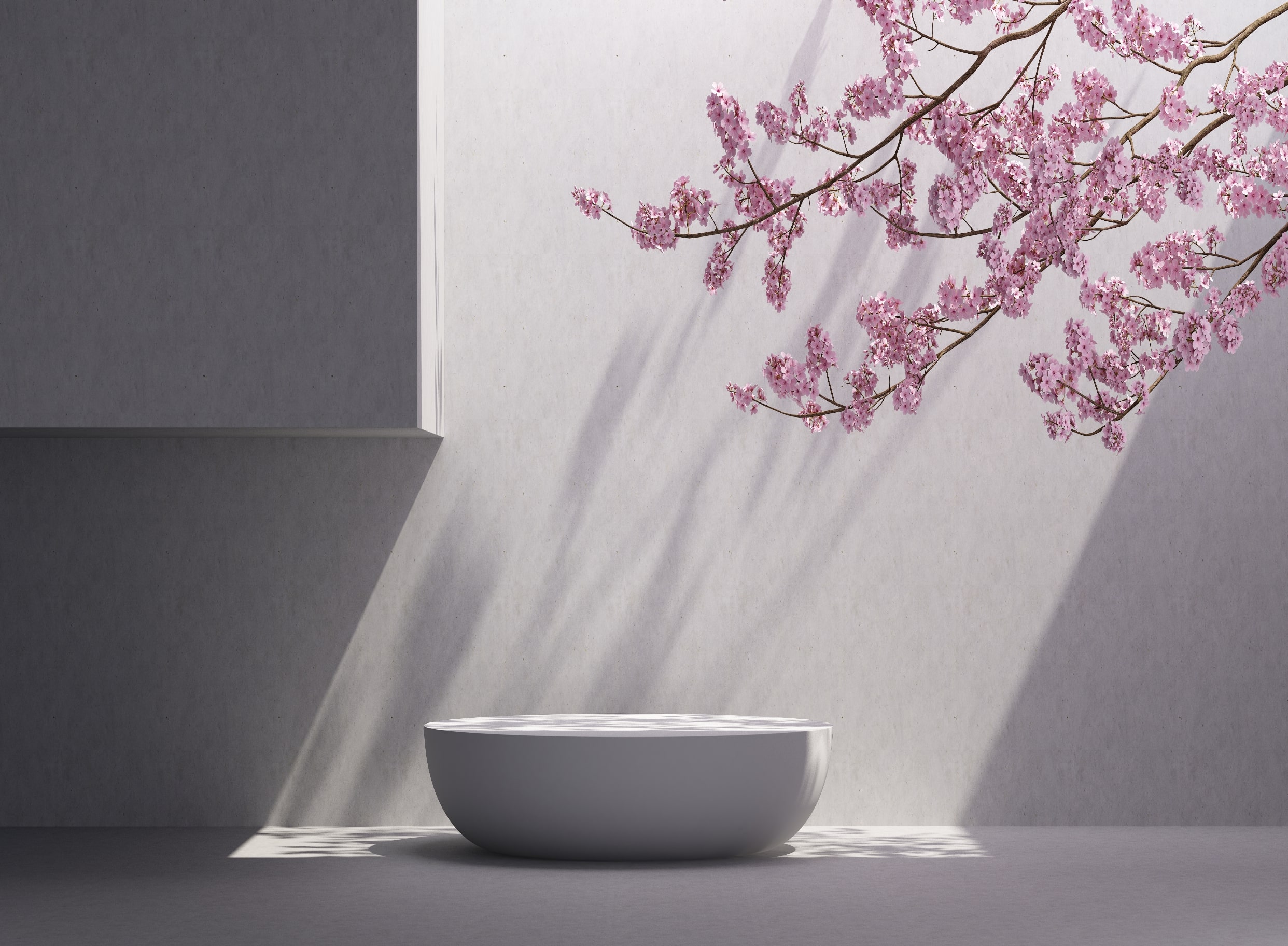 JAPAN SELECT株式会社 | SNSマーケティングを得意とする事業会社